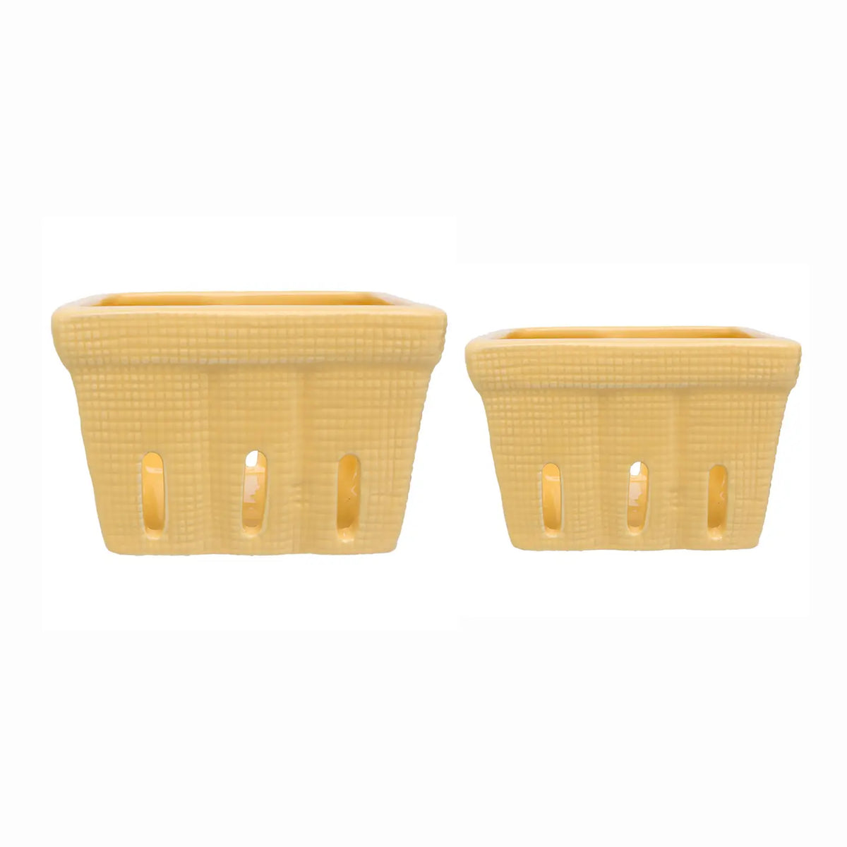 Berry Ceramic Bowl – Tarzian West for Housewares