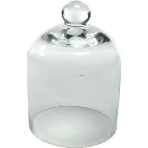 Mini Glass Dome 4" – Tarzianwestforhousewares