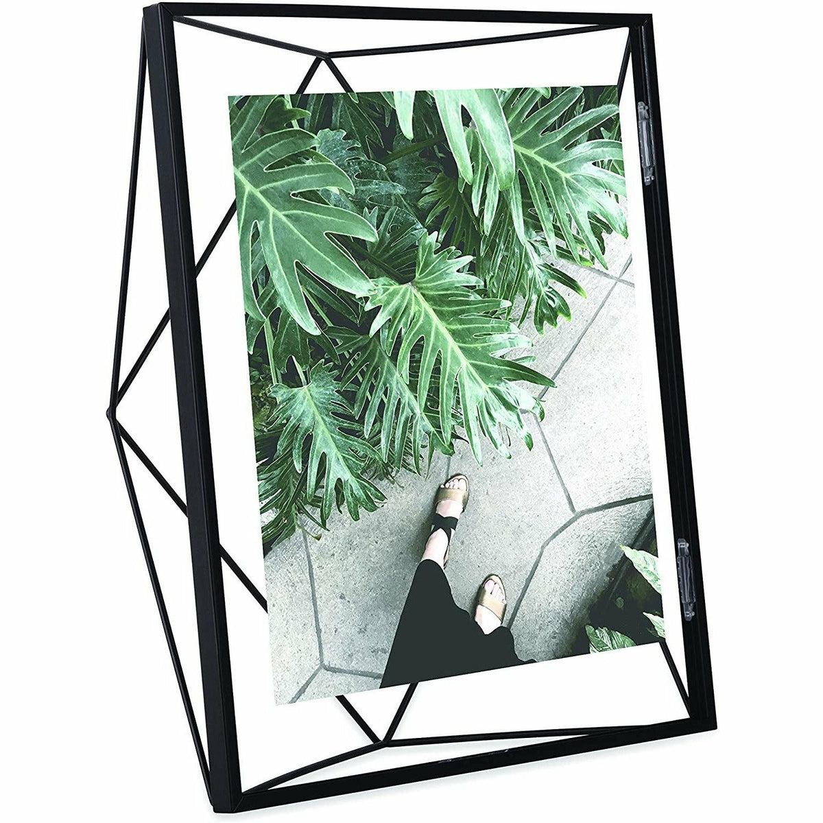 Prisma Frame 8x10 – Tarzian West for Housewares